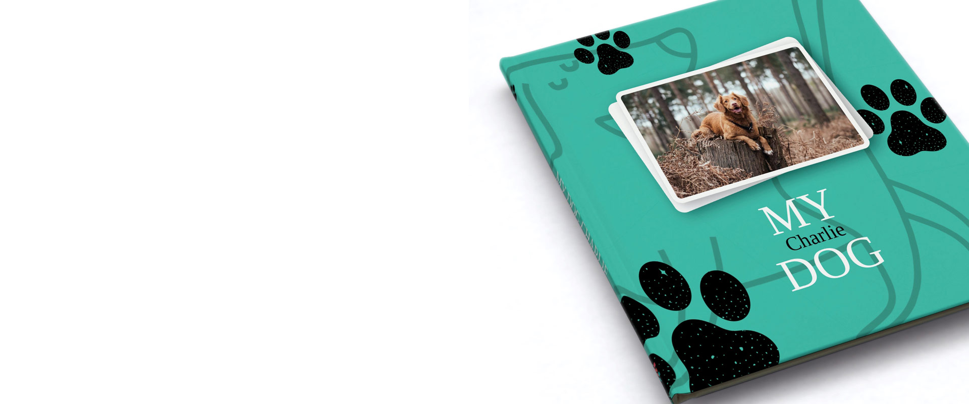 My Pet’s Story Book - ModestyBooks